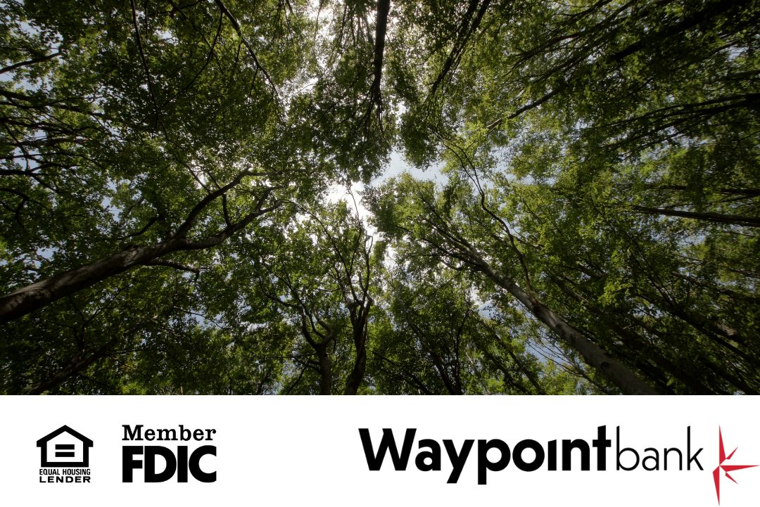 Go Paperless and Save: Sign Up for eStatements Before June 1st ...