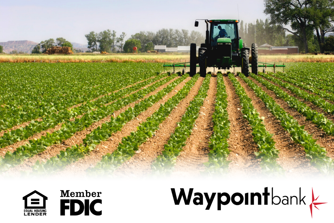 A Career with Roots: Working at Waypoint Bank - Waypoint Bank